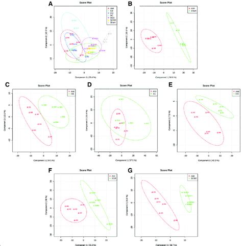 Analysis Results Of Pls Da Model Pls Da Score Plots Of A 7 Groups R