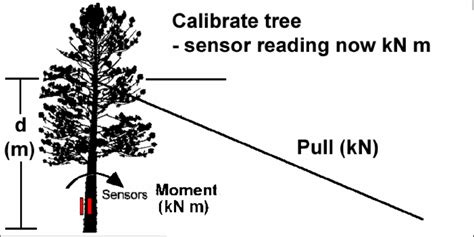 Pulling On A Tree To Calibrate The Strain Meter Download Scientific Diagram