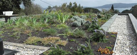 Toit Terrasse Urbain Dentreprise Végétalisé Apis Florae Architecte