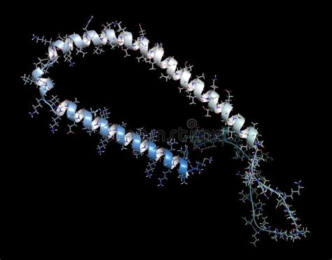 Alpha Synuclein Fibril Structure Determined By Solid State Nmr Thought To Play A Role In