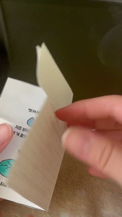 돌키우기 인형계 따니네만들기 Youtube