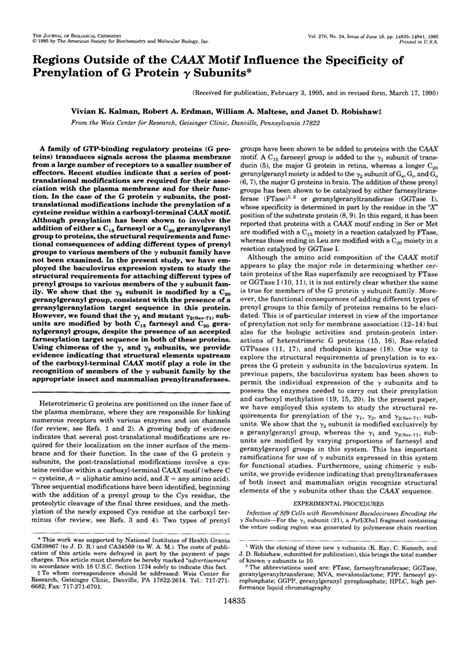 Pdf Regions Outside Of The Caax Motif Influence The Specificity Of Prenylation Of G Protein