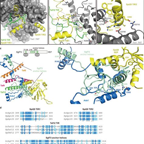 details of intermodule interactions relates to data in figs 1 2 a
