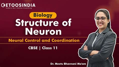 Neural Control and Coordination | Structure of Neuron | Class 11 ...