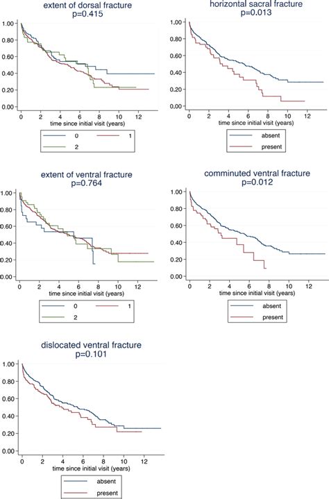 Relation Of The Individual Fracture Characteristics To Survival Download Scientific Diagram