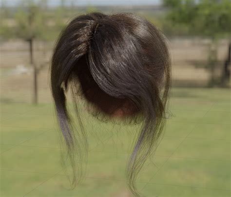 Cycles Render Engine Hair Appears Different From Viewport Rendering