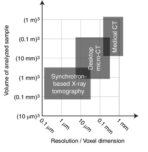 Figure 1 From Synchrotron Based X Ray Tomographic Microscopy For Rock