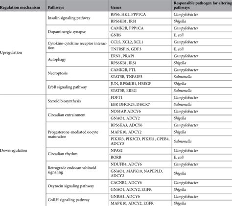 Common Altered Pathways Names Of The Degs And The Responsible Download Scientific Diagram