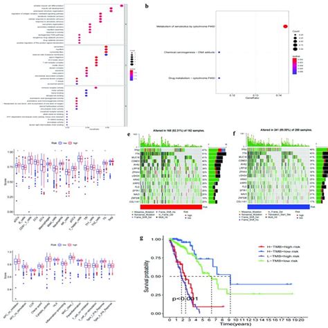 Data Preprocessing And Differential Expression Analysis Pca Analysis