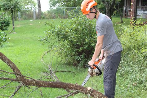 Tree Trimming Nashville Tree Service NTS Serving Nashville TN