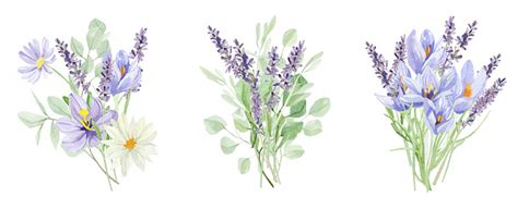 크로커스와 라벤더 야생화 녹색 잎 청첩장 인사말 카드 베이비 샤워 배너 로고 디자인으로 설정된 수채화 꽃다발 아름다운 스톡 일러스트레이션 Bridal Show에 대한 스톡