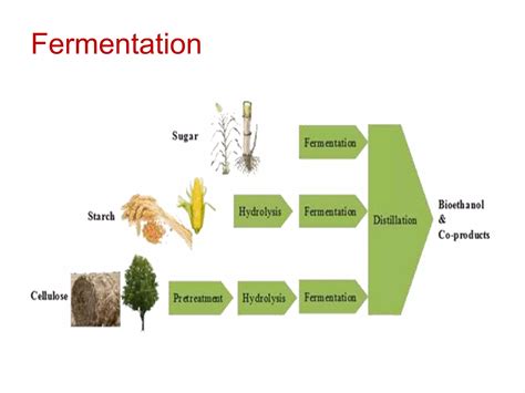 Biomass Generation And Utilization Pptx