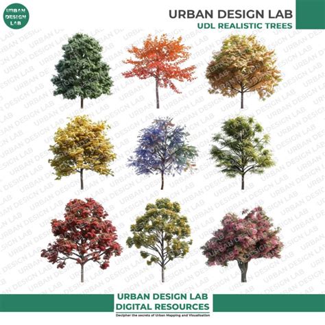 Realistic Trees PNG In Elevation