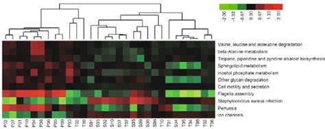 Heatmap Of Bacterial Gene Functional Predictions Using The Picrust