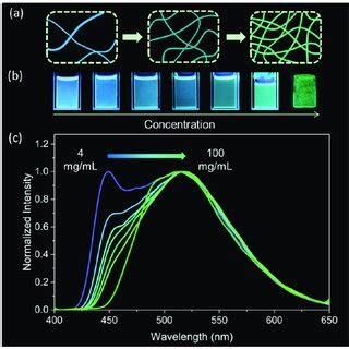 A Schematic Illustration Of Cross Linked Polymers During The Download Scientific Diagram