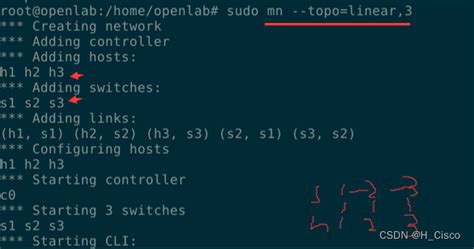 mininet拓扑构建与命令使用 csdn博客