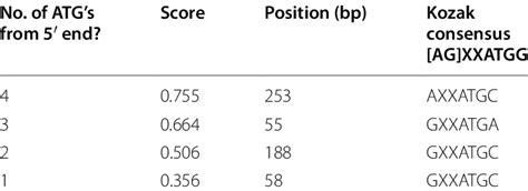Prediction Of Start Codon Score Position And Kozak Consensus