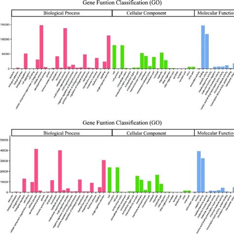 Gene Ontology Classifications Of Assembled Unigenes A Roots B