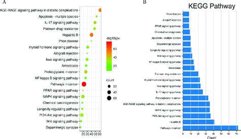 Kegg Enrichment Analysis Of The Overlapping Targets Ab Kegg Download Scientific Diagram