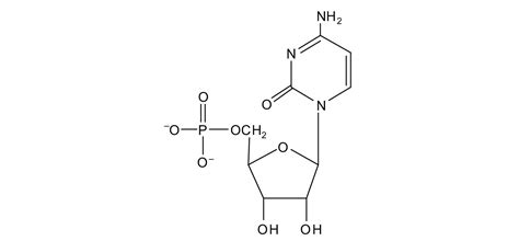 Thymine Nucleotide Structure