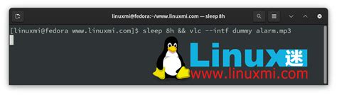 Linux 闹钟指南:如何设置提醒或唤醒时间 Linux迷 Linux 闹钟指南:如何设置提醒或唤醒时间 Linux迷