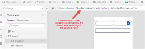 Set The Text On The Text Controls In Canvas App