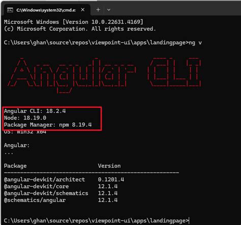 Update Angular From 12 To 17 2 In A Nx Environment