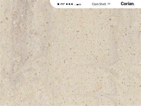 Clamshell Love That Design