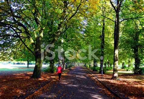 공원에서 산책 하는 여자 스톡 사진 Freeimages