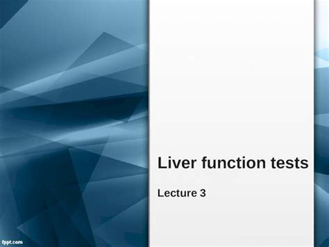 PPT Liver Function Tests Lecture 3 ANATOMY OF LIVER DOKUMEN TIPS