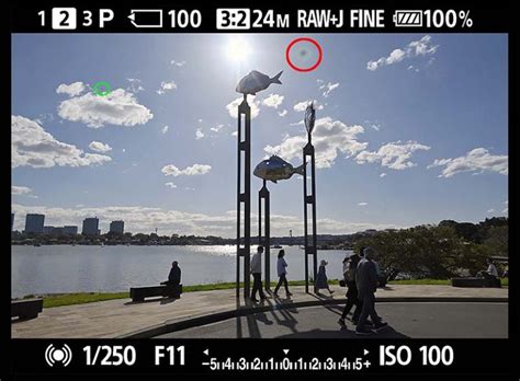 Identifying Pixel Errors Photo Review