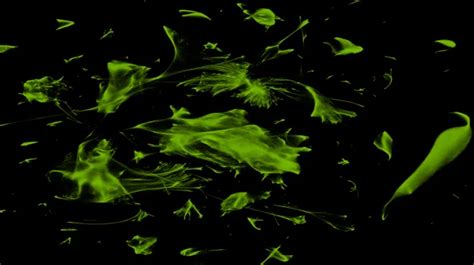 Shrink Genomics And Single Cell Analysis Time To Minutes With Nvidia