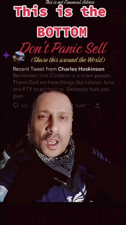 Sunil Patel On Linkedin This Is The Bottom Of The Crypto Bear 🐻 Market