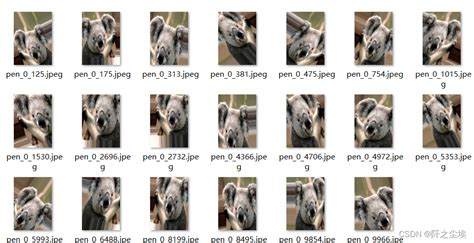 Python深度学习08——keras实现图片转化数据并使用数据增强keras 图片数据集转化为数据集 Csdn博客