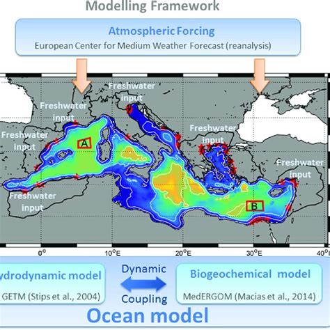 Schematic Representation Of The Marine Modelling Framework In Its Download Scientific Diagram