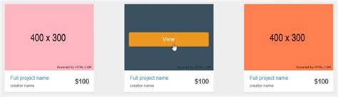 35 Best Bootstrap Image Hover Effects WebTopic