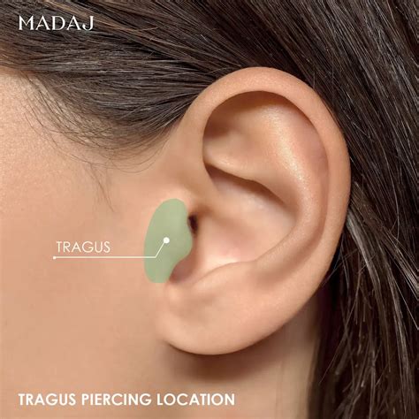 Ear Piercings Placement And Location Full Guide Madaj Piercings