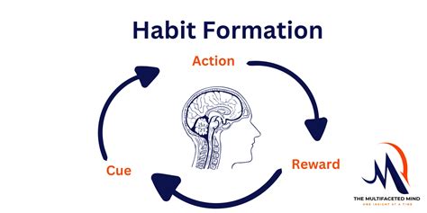 The Science Of Habit Formation A Journey Inside The Brain