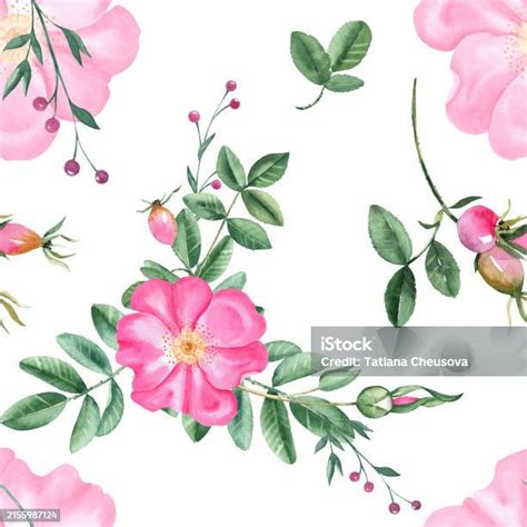 개 장미 꽃 수채화 완벽 한 패턴입니다 손으로 그린 식물 그림입니다 로즈힙 꽃 새싹 가지 및 열매 직물 섬유 포장 인쇄 벽지 디자인에 사용할 수 있습니다 개화기에 대한 스톡