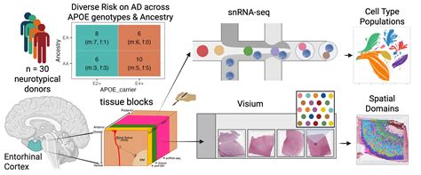 Lff Spatial Erc Lff Spatial Erc