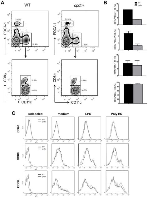 Effect Of Sharpin Mutation On Dc Subpopulations And Maturation A