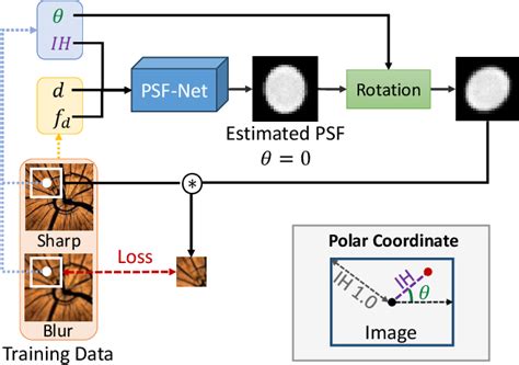 Figure 2 From Self Supervised Spatially Variant Psf Estimation For