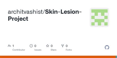 Github Architvashist Skin Lesion Project