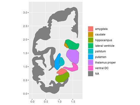 Using Geombrain • Ggseg