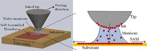 Figure 1 From Characterization Of The Dip Pen Nanolithography Process Semantic Scholar