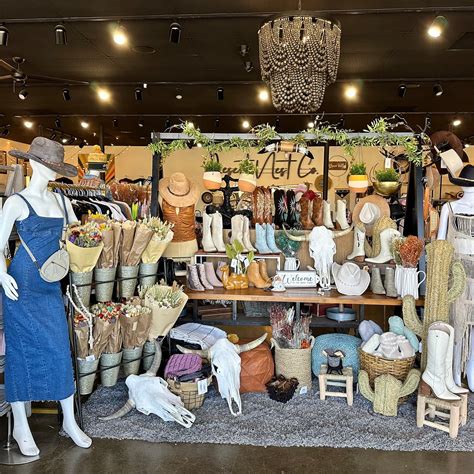 Desert Nest Co All You Should Know Before Going 2026 W Reviews
