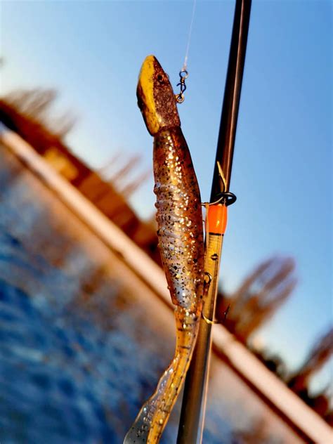 ⚽ Swimbait Vertical Jig Head Mold・archivo Stl Para ・cults