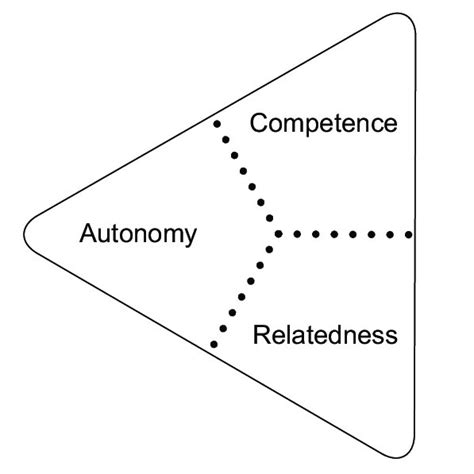 Self Determination Theory Driven Codes And Interview Excerpts Download Scientific Diagram