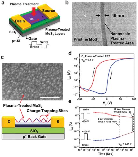 A 3d Schematic And Treatment Process Of A Plasma‐treated Mos2 Memory Download Scientific