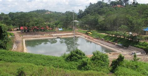 Environmental Pengelolaan Air Asam Tambang 61992 Hot Sex Picture